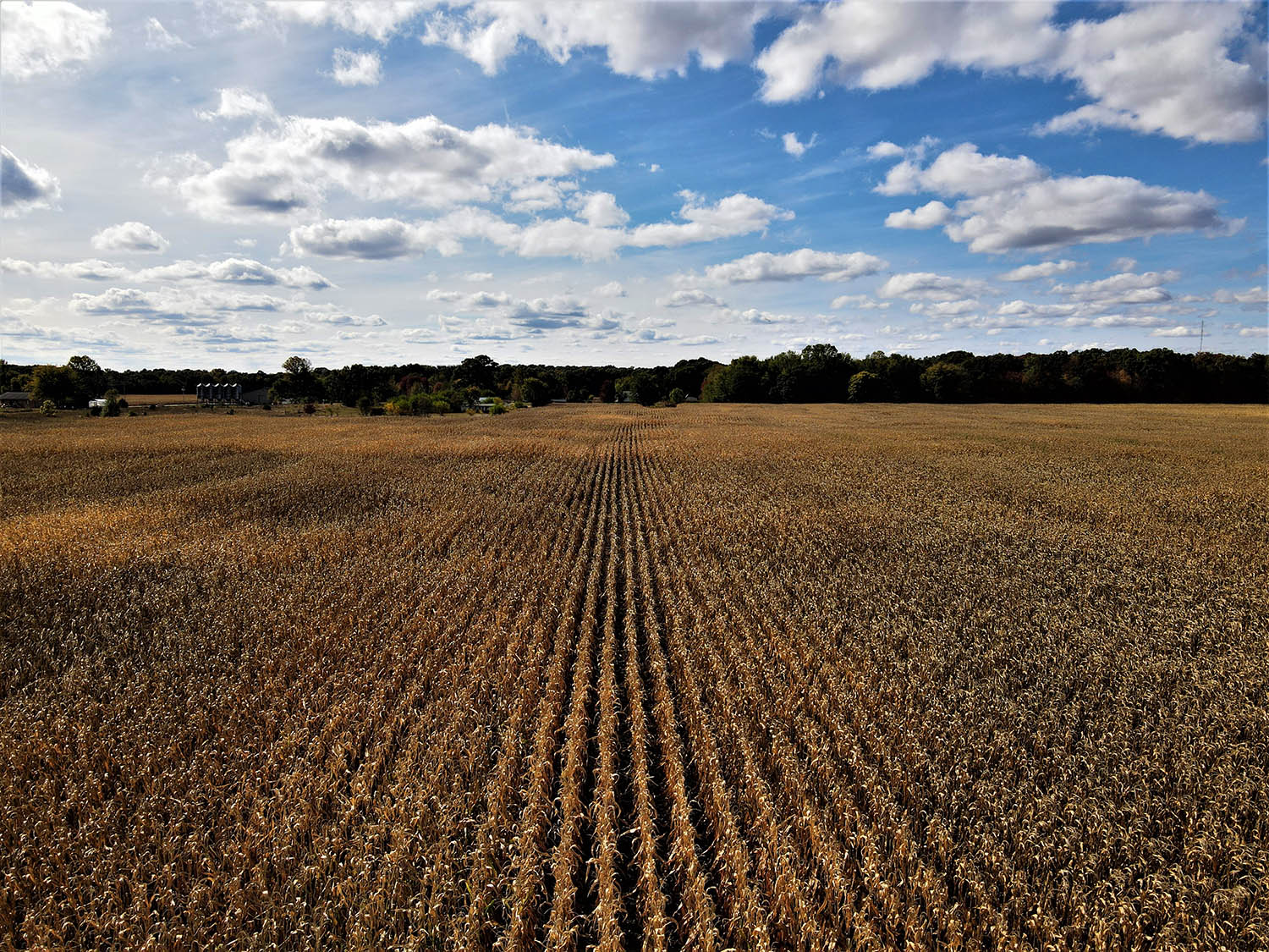 SOLD - STARKE COUNTY, INDIANA 16 +/- ACRES FARMLAND | # C-121 - Farm ...