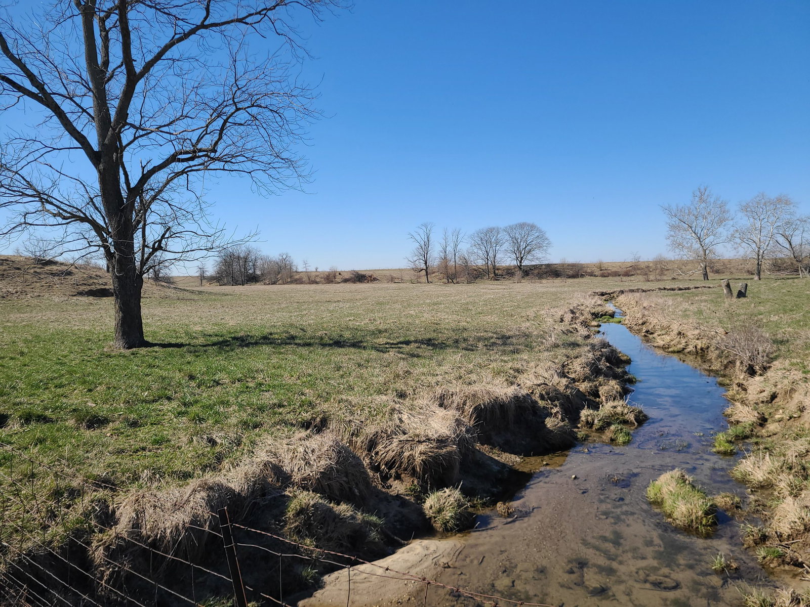 54 +/- Acres Decatur County, Indiana - Farm Real Estate for Sale ...